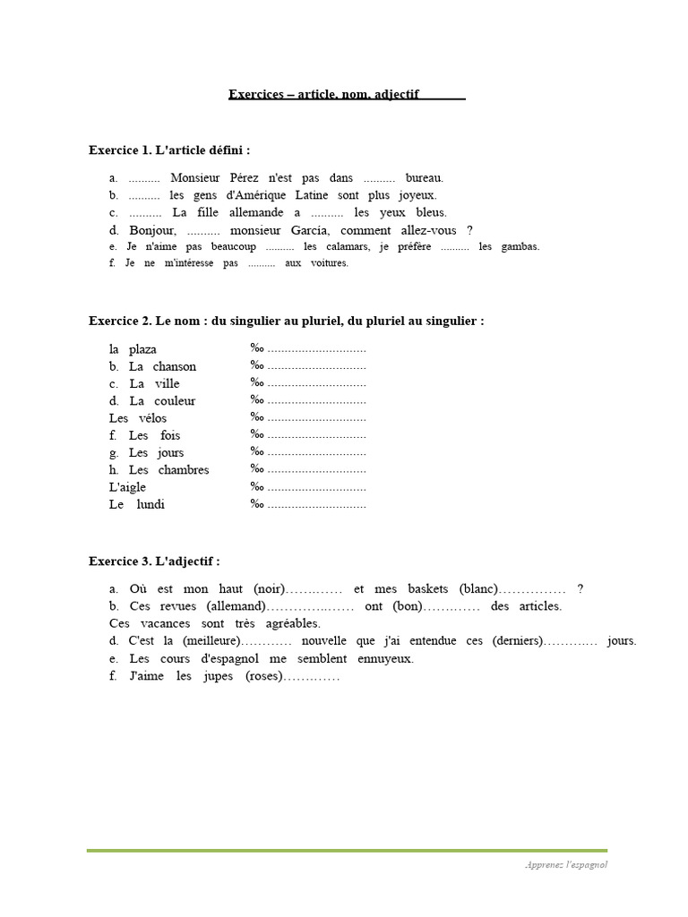 Exercices sur articles, noms et adjectifs | PDF