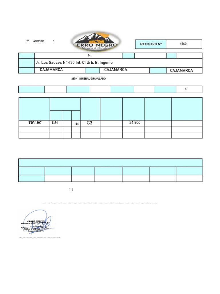 Pesos y Medidas TDW-807 | PDF | Vehículo de motor | Ingeniería de Transporte