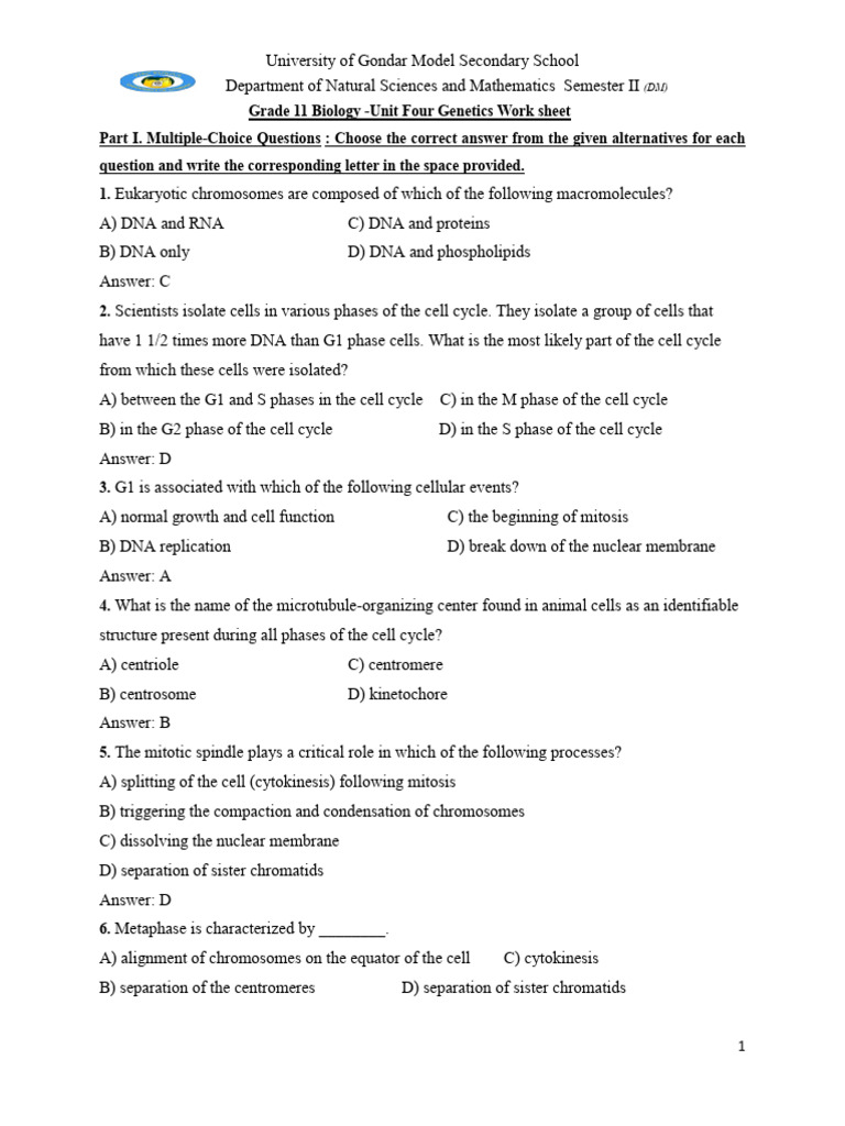 Grade 11 Genetics Worksheet Answers | PDF | Meiosis | Dominance (Genetics)