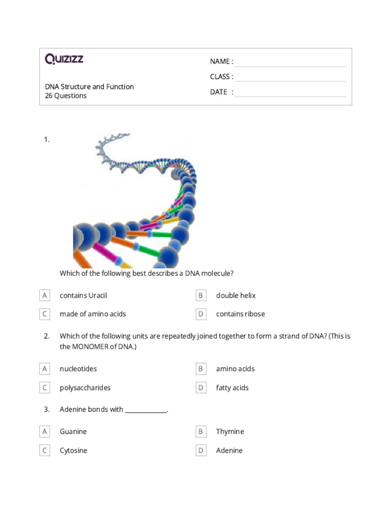 DNA Structure and Function (Quizziz) | PDF | Dna | Nucleotides