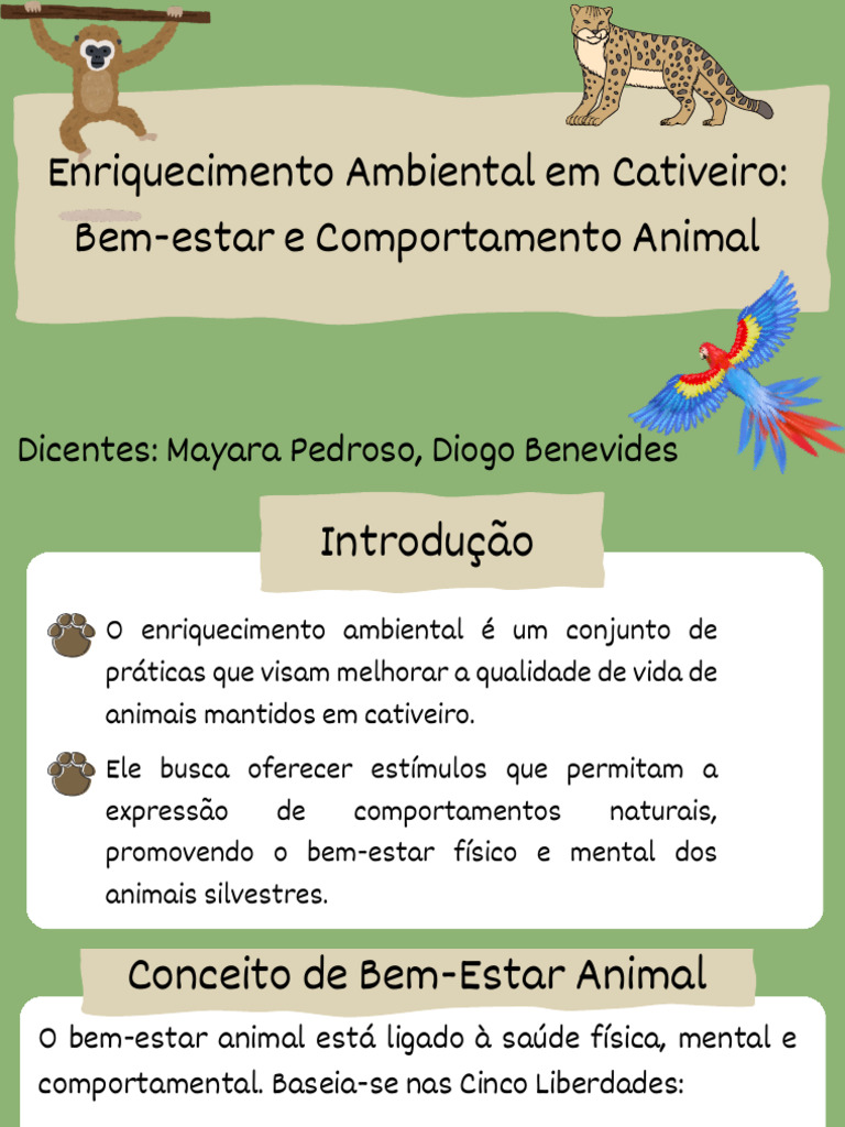 Colourful Observe and Compare Traits in Animals Science Activity | PDF ...