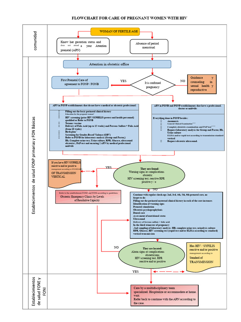 Flowchart For Care of Pregnant Women With HIV | PDF | Pregnancy ...