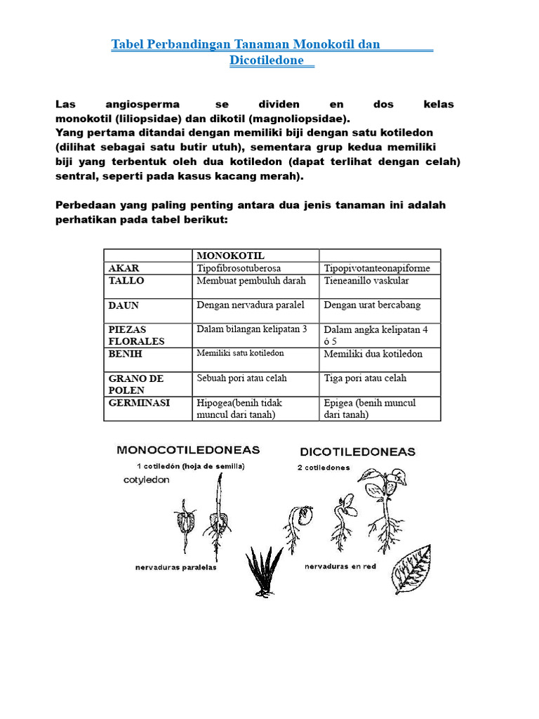Perbandingan Monokotil dan Dikotil | PDF
