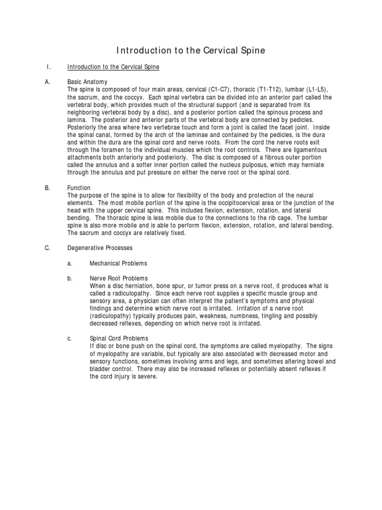 Cervical Spine Anatomy and Treatment Guide | PDF | Vertebra | Vertebral ...