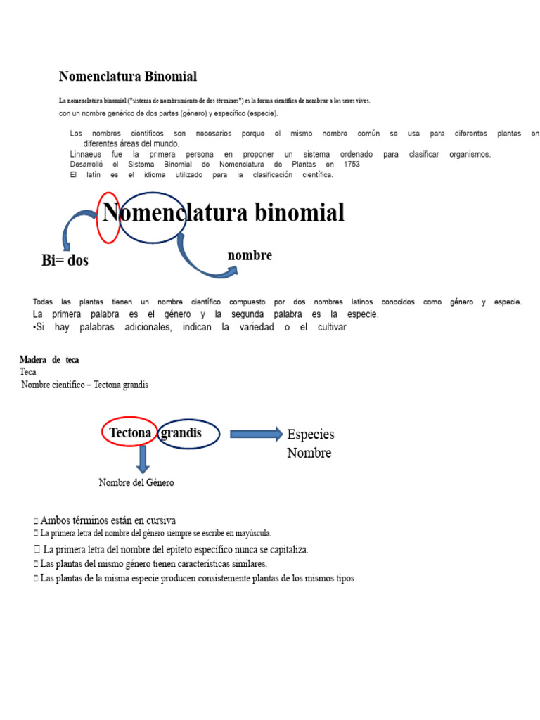 Nomenclatura Binomial | PDF