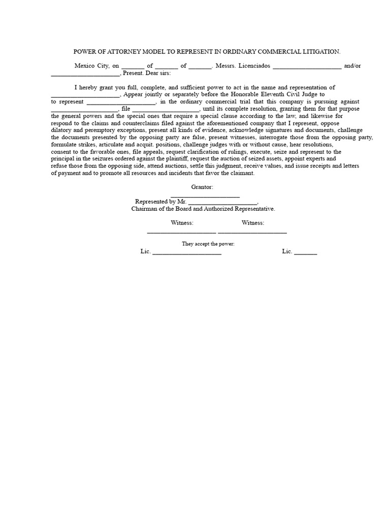 Power of Attorney Model For Representation in Ordinary Commercial Trial ...