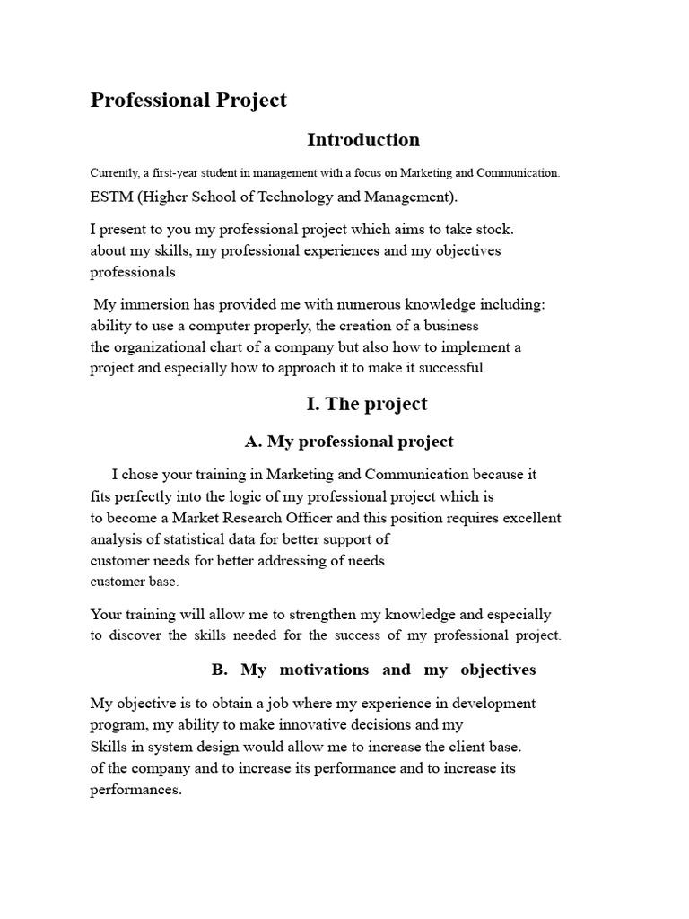 Professional Project | PDF | Marketing | Cognition