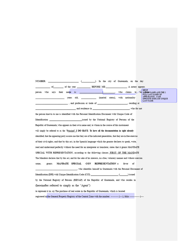 MINUTE SPECIAL MANDATE WITH REPRESENTATION | PDF | Credit | Finance ...