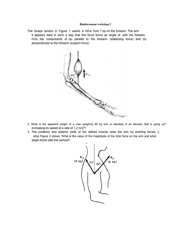 Reinforcement Workshop 2 | PDF | Potential Energy | Force