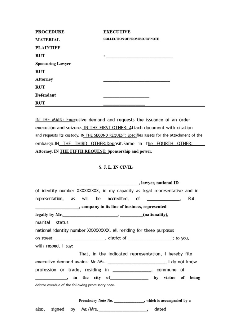 Executive Demand Format Promissory Note at Sight | PDF | Promissory Note | Common Law