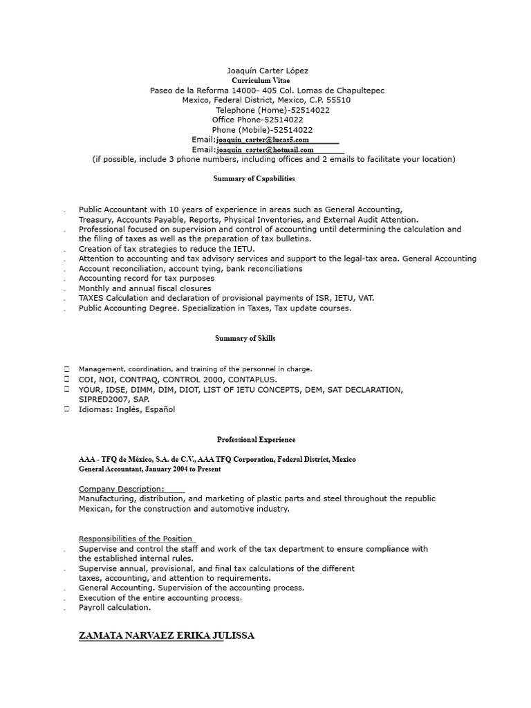 CV Example | PDF | Economies | Business