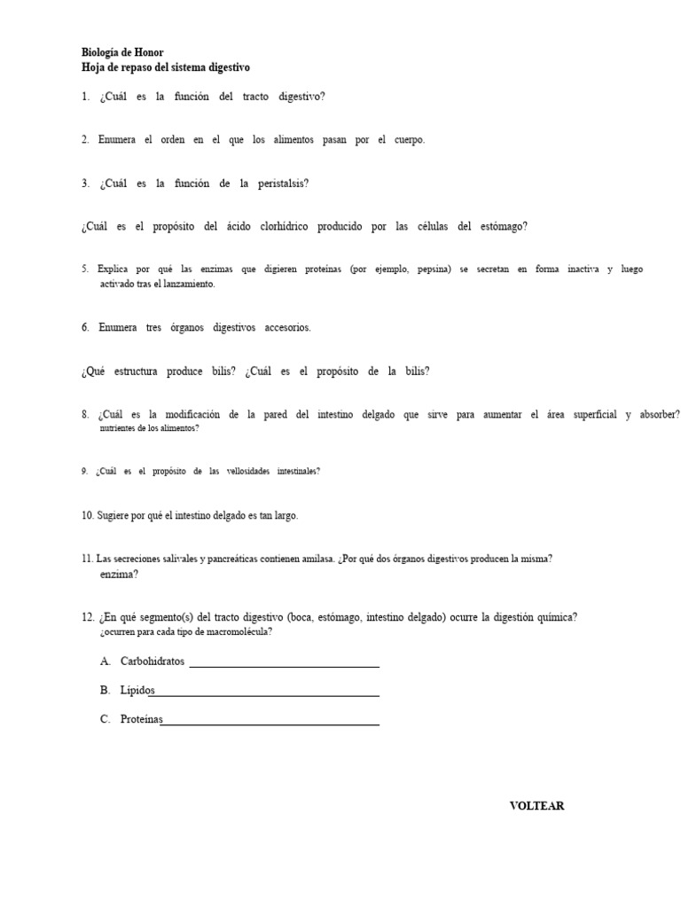 Hoja de Trabajo de Revisión Del Sistema Digestivo 2019 | PDF | Sistema ...