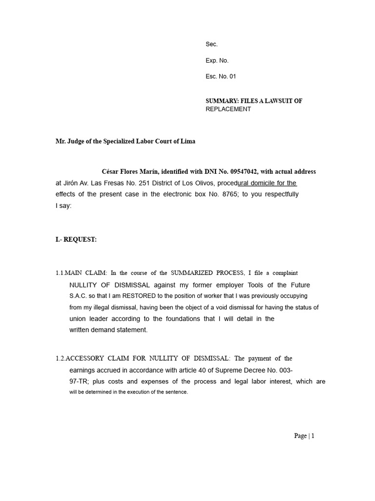 Model of Reinstatement Claim For Dismissal | PDF | International Labour ...