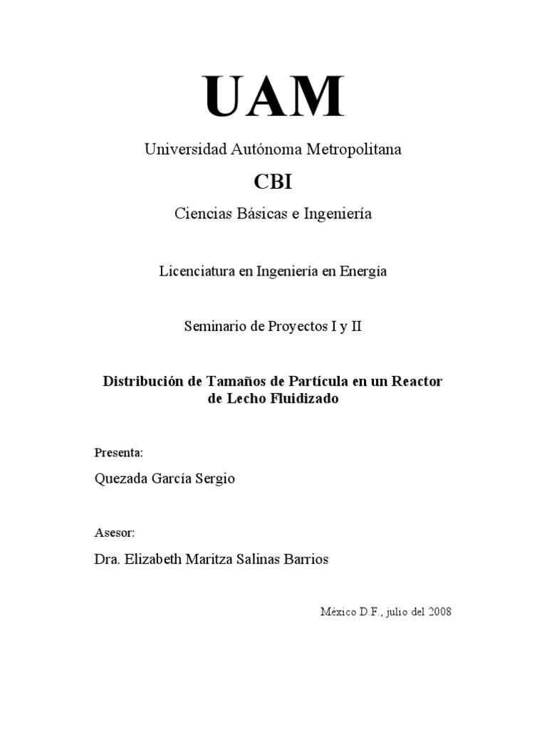 Lecho Fluidizado | PDF | Catálisis | Viscosidad