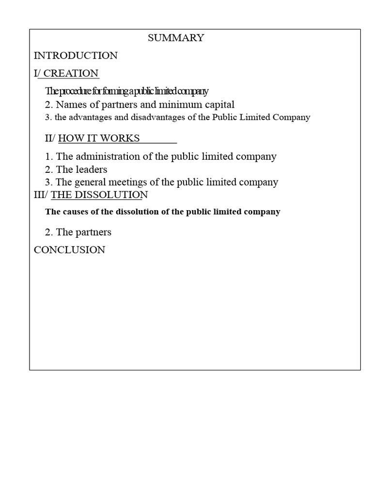 The Public Limited Company | PDF | Corporations | Board Of Directors