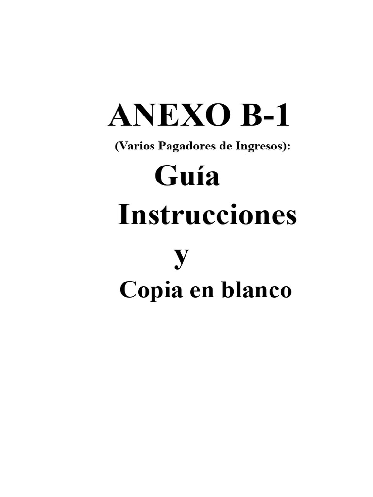 20210114_Declaración_Jurada_Anexo_B-1 | PDF | Impuestos | Impuesto sobre la renta