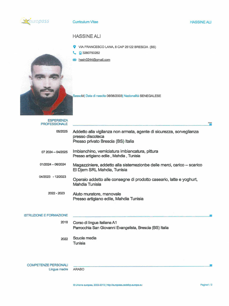 CV Hassine Ali | PDF