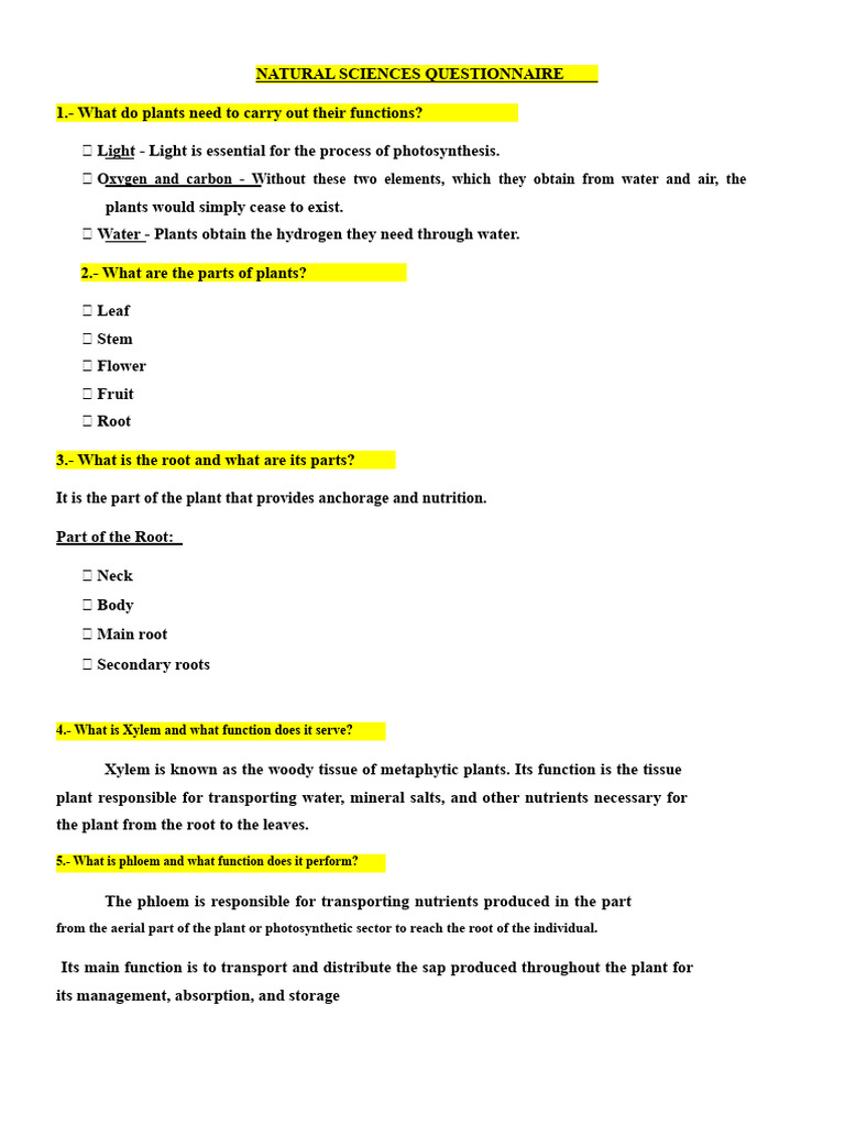 NATURAL SCIENCES QUESTIONNAIRE | PDF | Leaf | Plant Stem