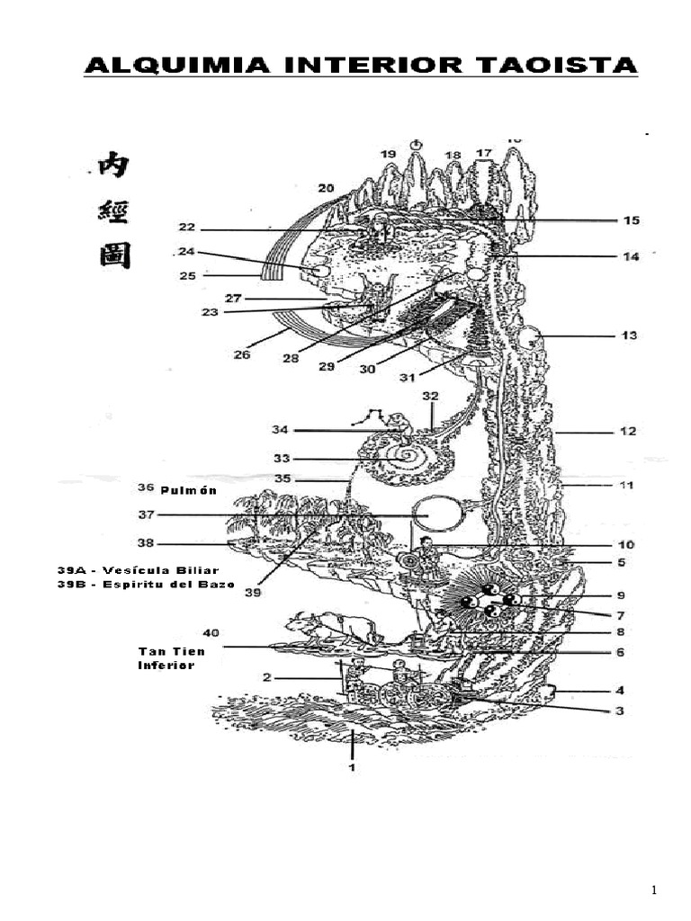Taoist Inner Alchemy Anatomy Chart | PDF | Neidan | Qi