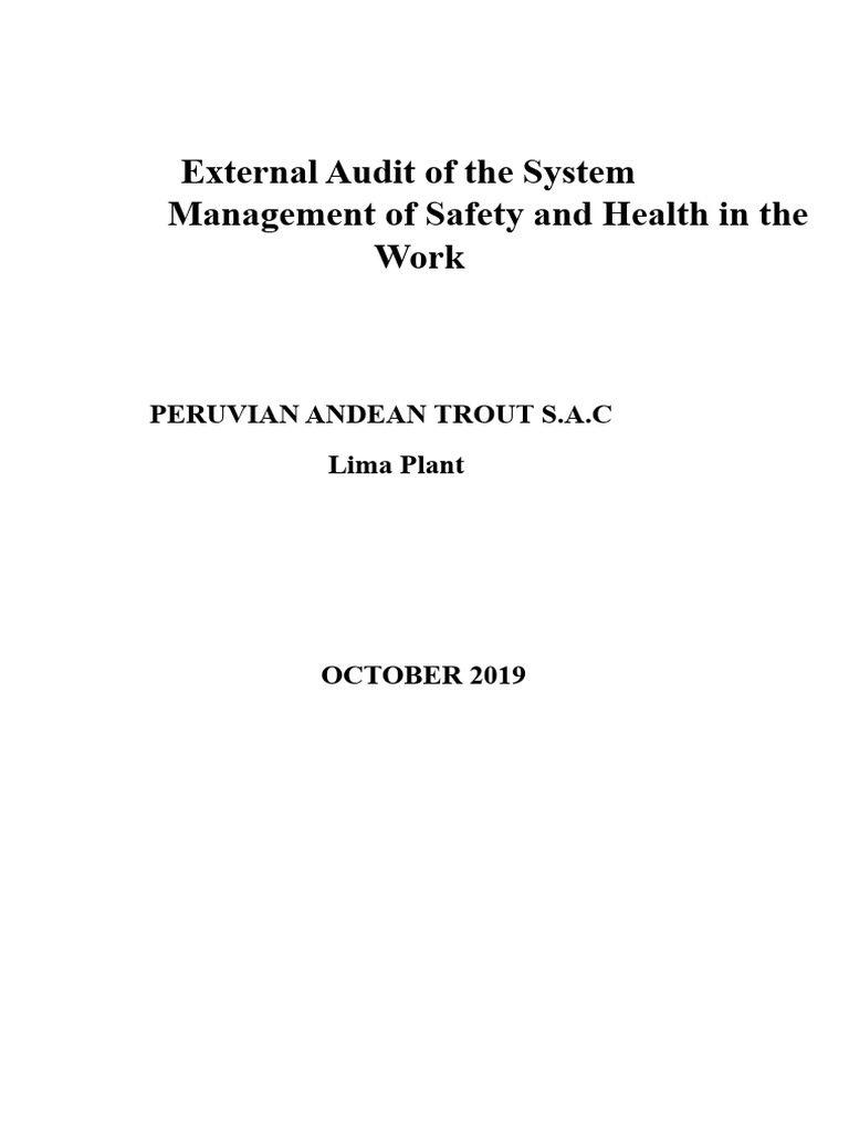 External Audit Report on Occupational Safety | PDF | Occupational ...