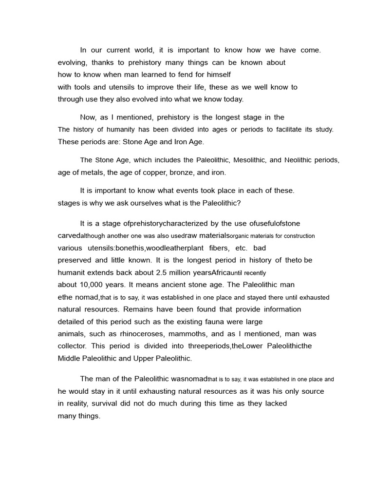 Essay On Prehistory | PDF | Paleolithic | Stone Age