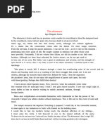 "Mi caballo mago: Themes and Analysis" | PDF | Chicano | Narrative
