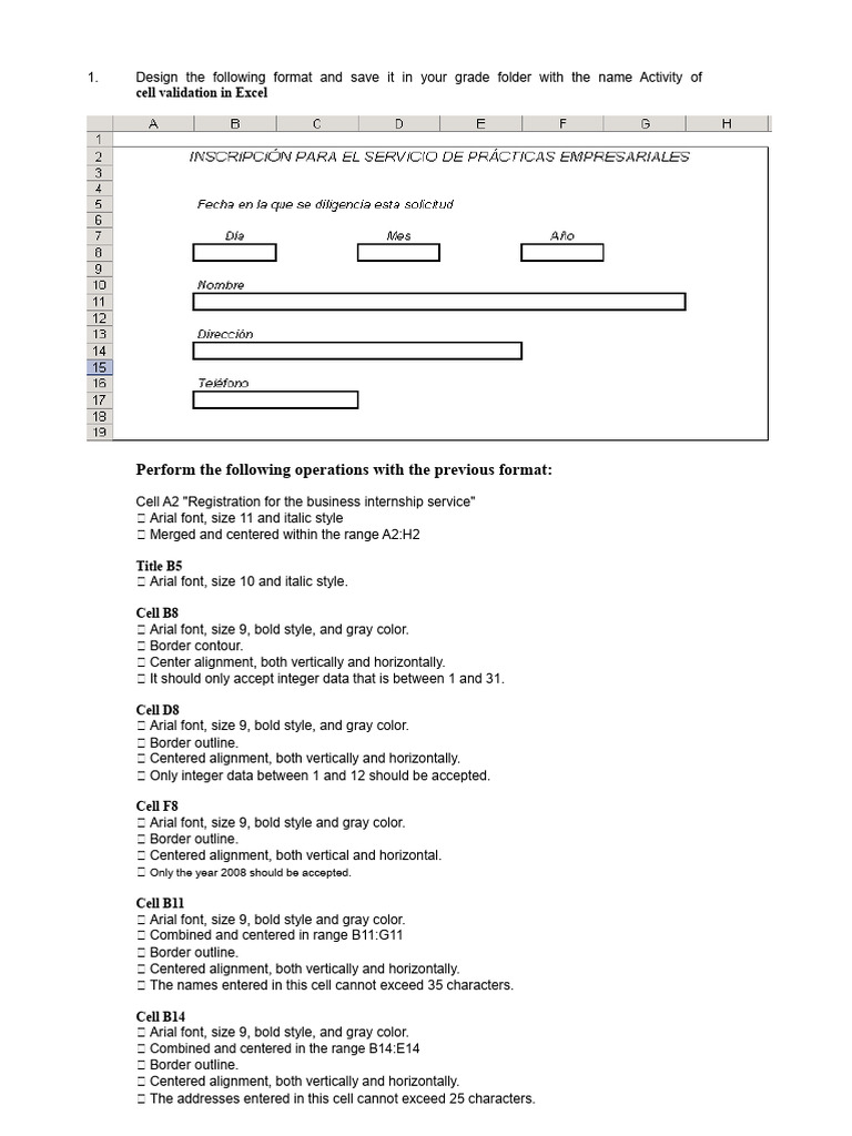 Cell Validation Exercise in Excel | PDF
