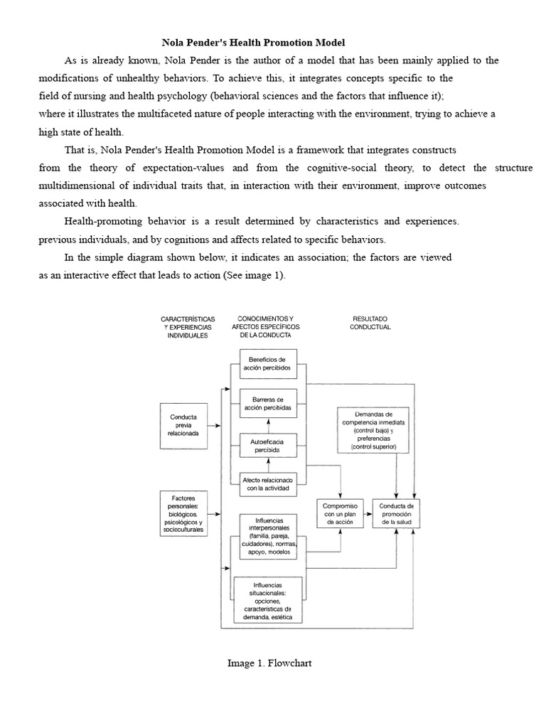 Nola Pender's health promotion model | PDF | Behavior | Self Efficacy