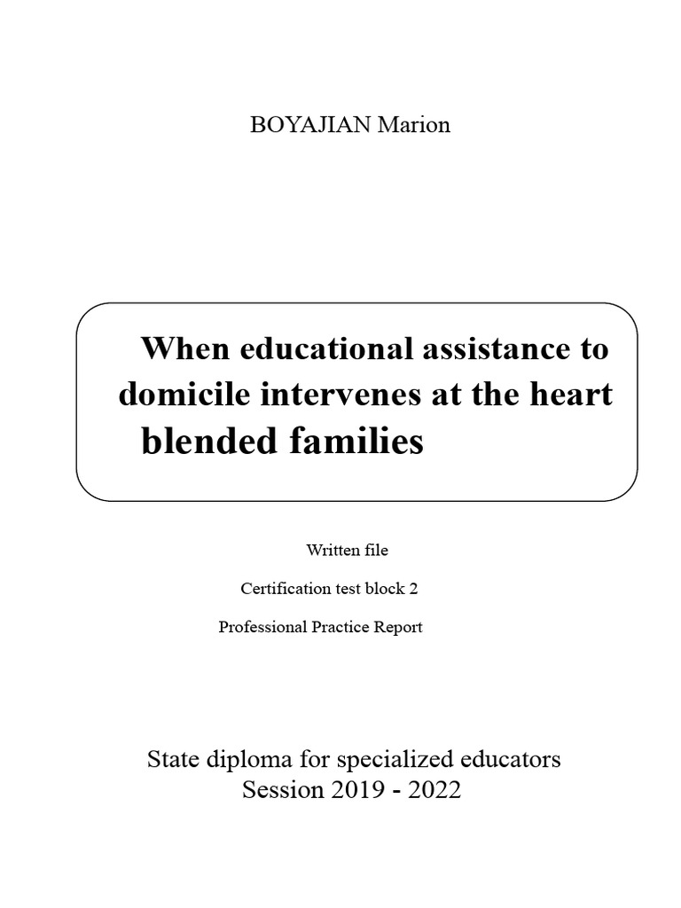 Professional Practice Report 2022 | PDF | Attachment Theory | Stepfamily