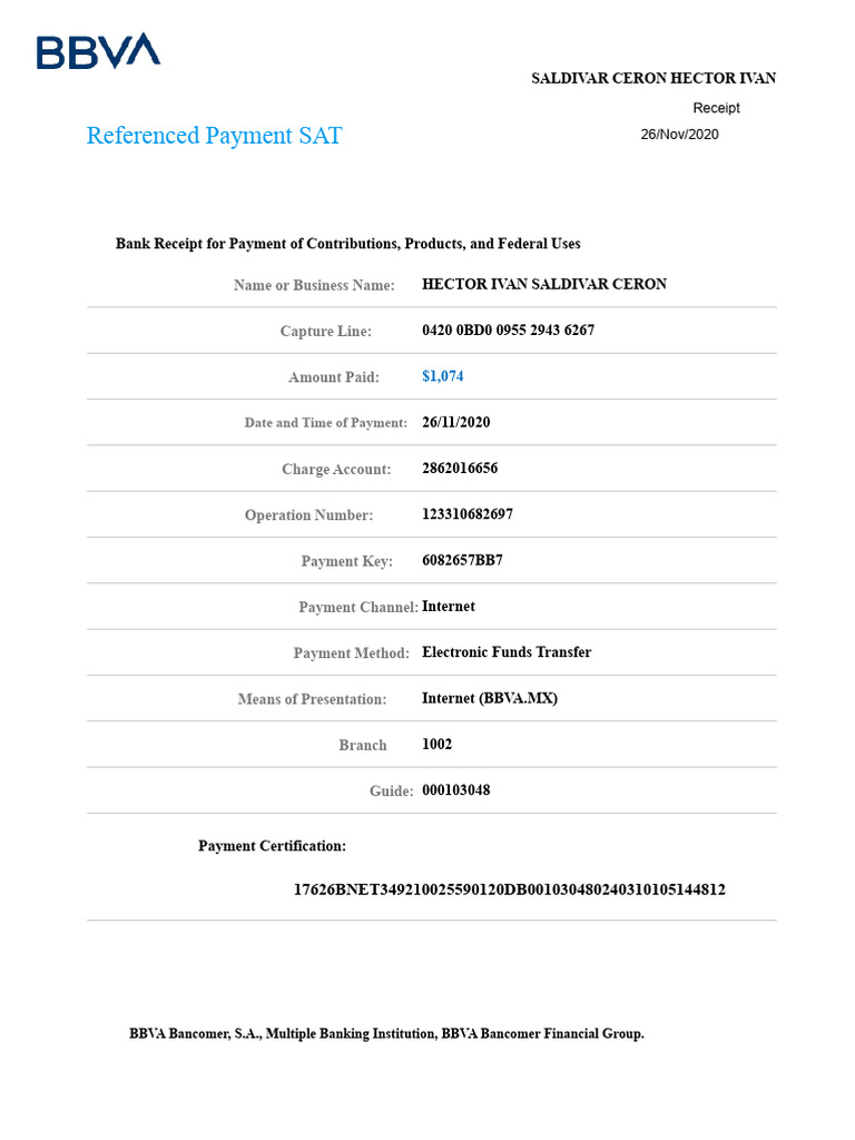 Referenced Payment SAT: Name or Business Name: Capture Line: Amount ...