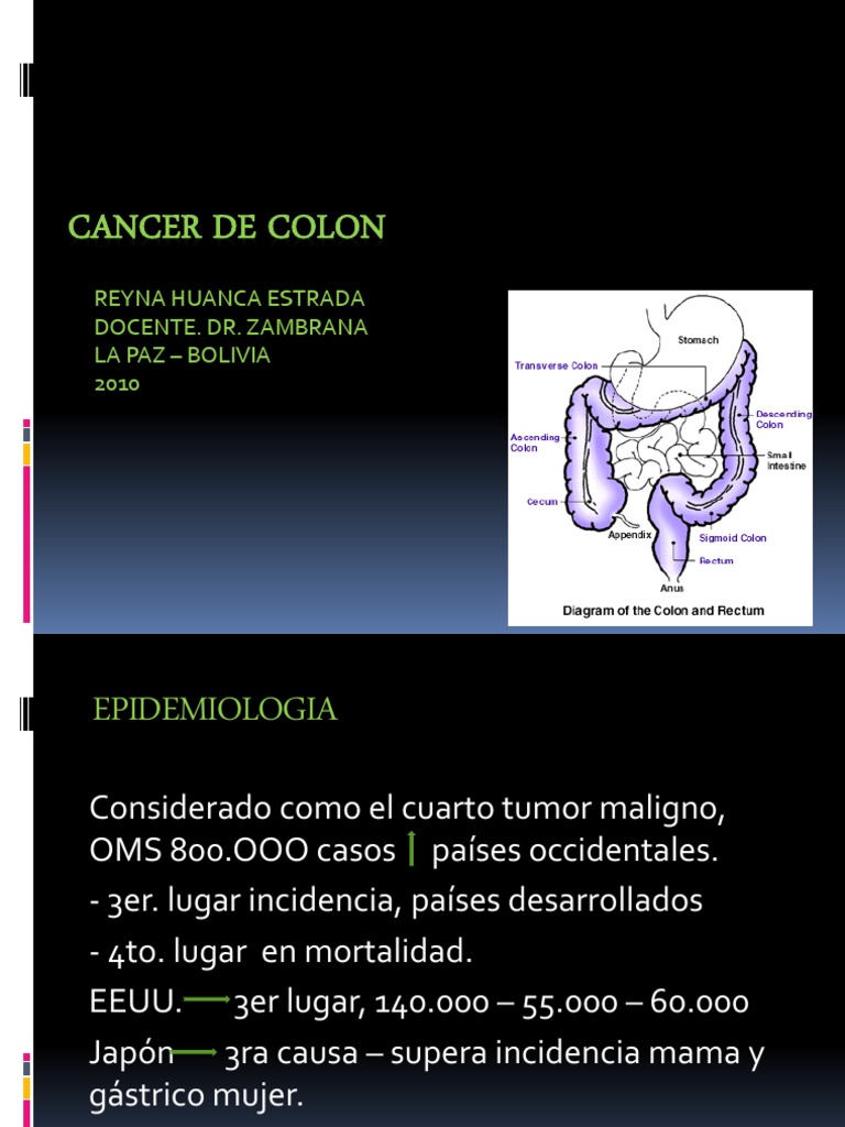 Cáncer de Colon: Epidemiología y Diagnóstico | PDF | Intestino grueso ...