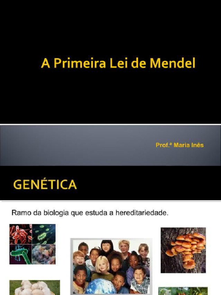 A Primeira Lei de Mendel | PDF