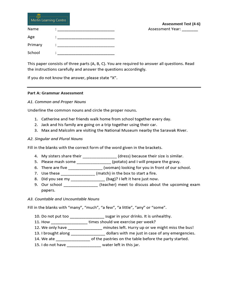 Assessment Test (4-6) | PDF | Noun | Grammar