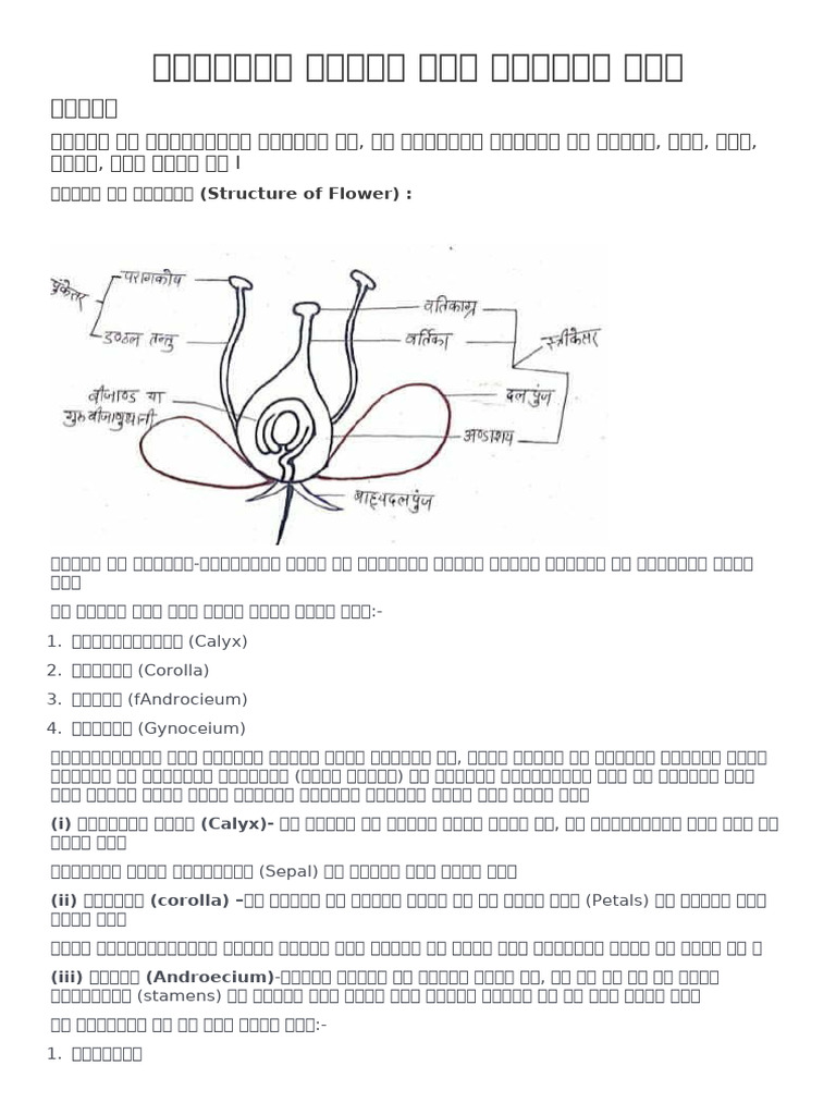 Class 12 Biology Notes | PDF