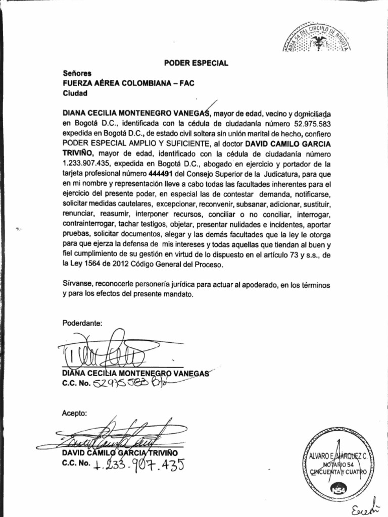 Modelo Poder Especial | PDF