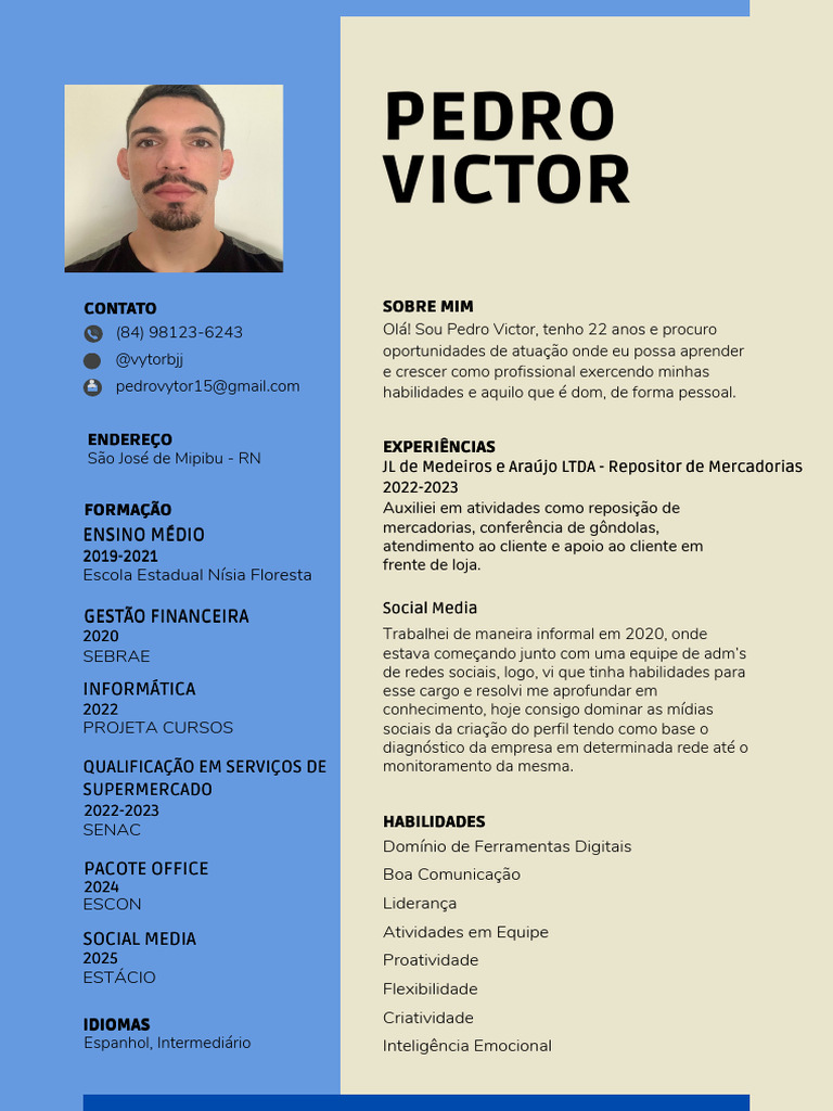 Cv. Pedro Victor | PDF