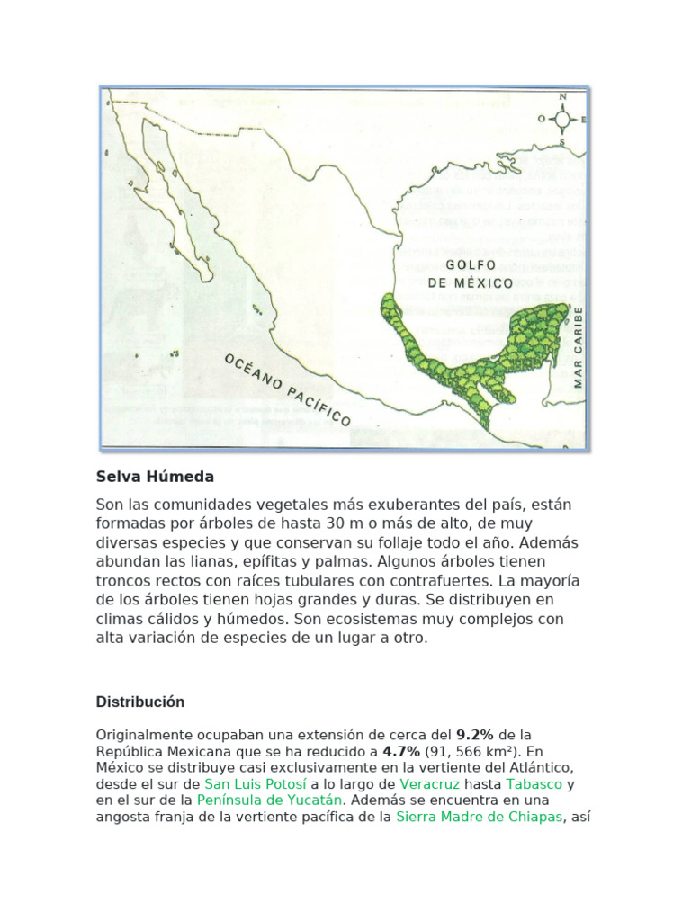 Selvas Húmedas de México: Flora y Fauna | PDF | Selva | Arboles