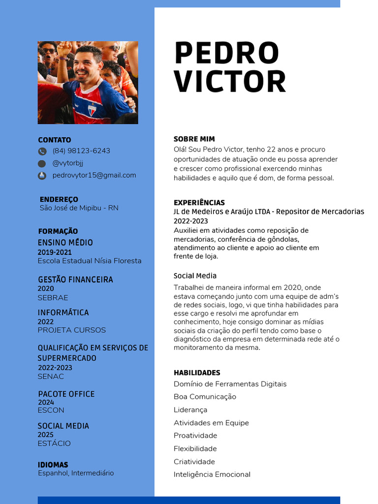 CV - Pedro Victor | PDF
