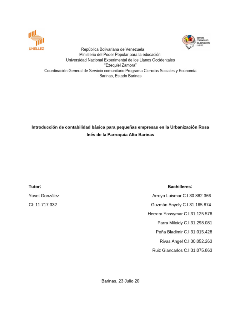 Informe Final Anyely 1 | PDF | Contabilidad | Infografia