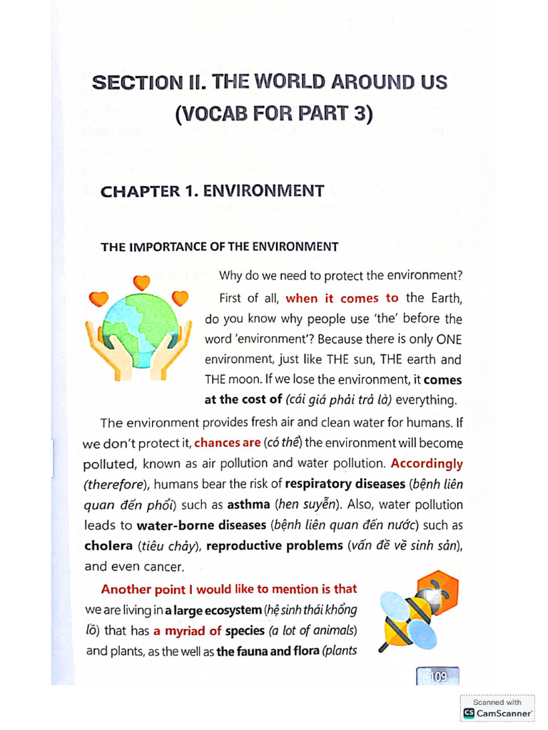 Environment | PDF