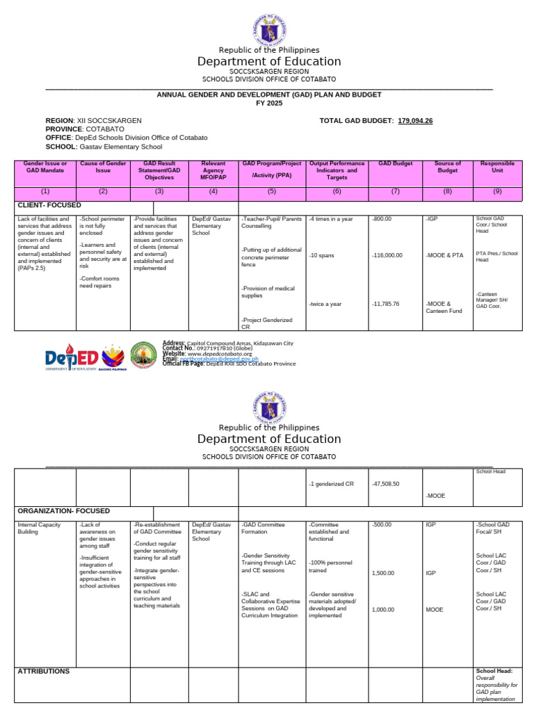GAD Plan and Budget 2025 for Gastav | PDF