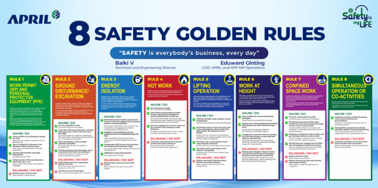 8 Golden Rules | PDF