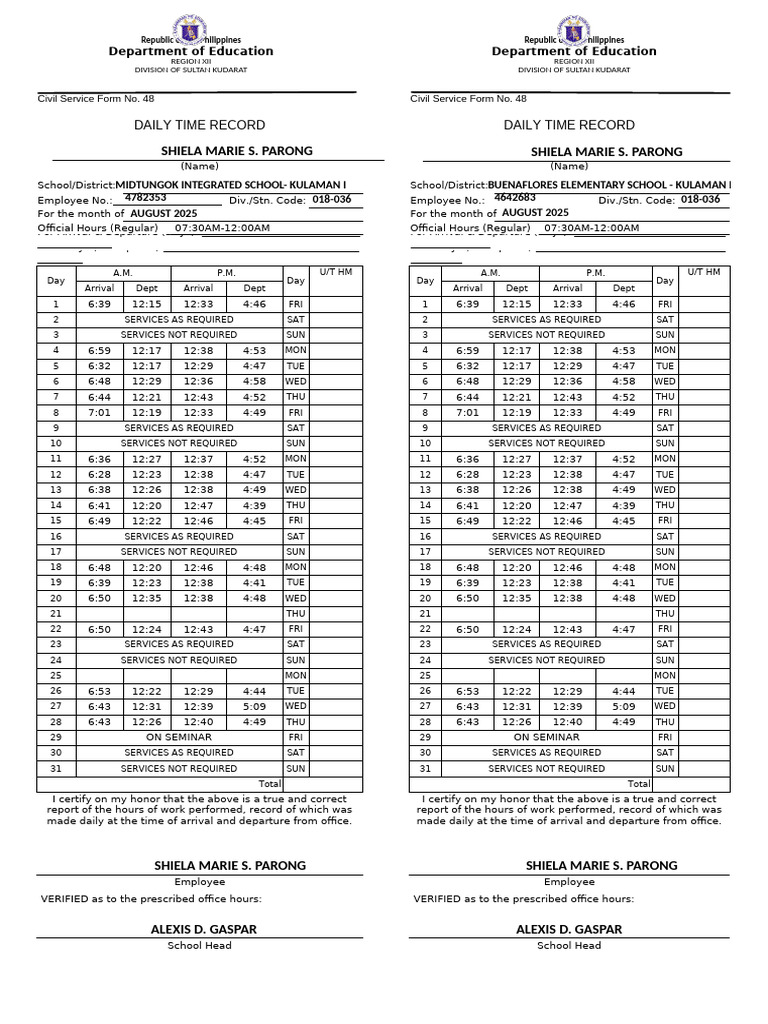 Daily Time Record for Civil Service | PDF