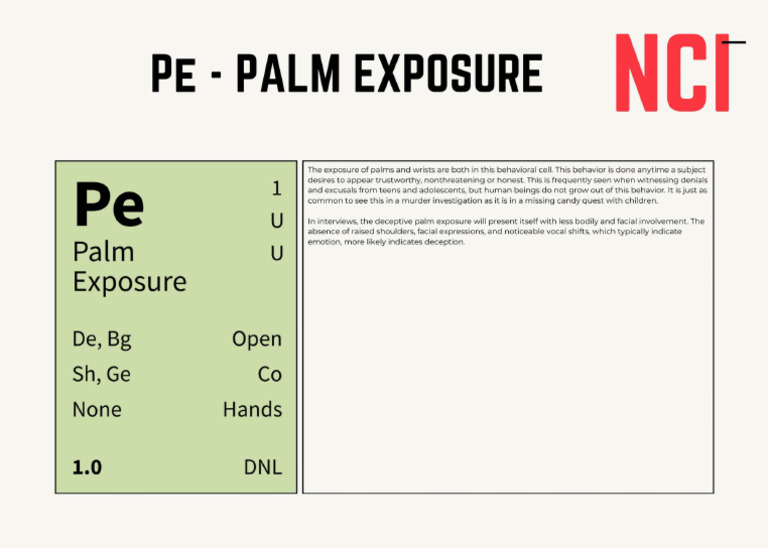 Pe - Palm Exposure | PDF