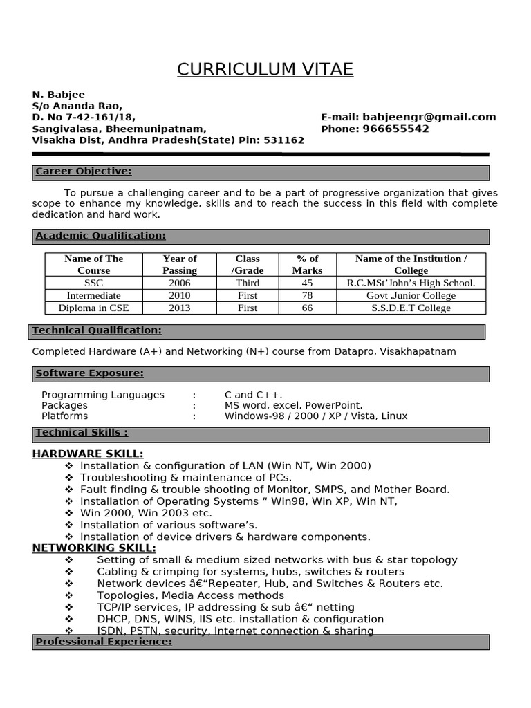 N. Babjee's IT Support CV | PDF | Computer Network | Telecommunications