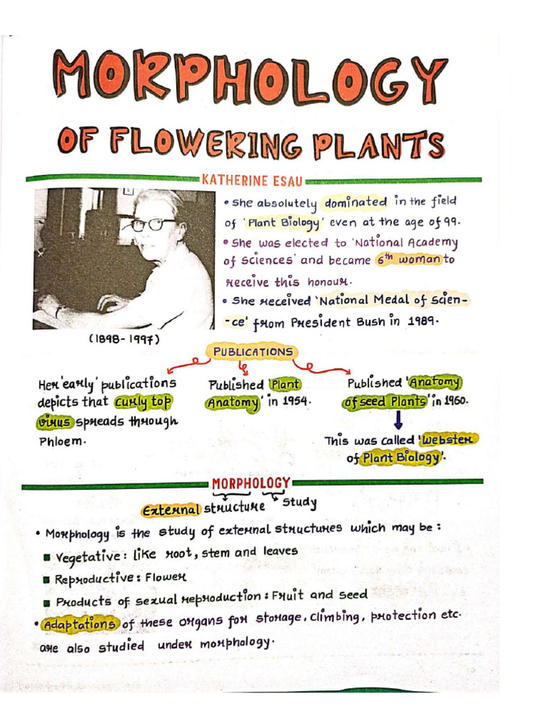 Botany Med Easy by Vipin Sir | PDF