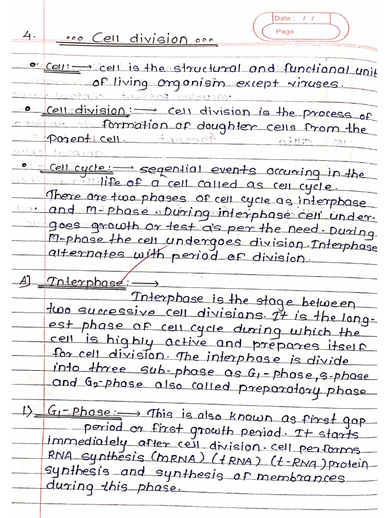4.cell Division | PDF