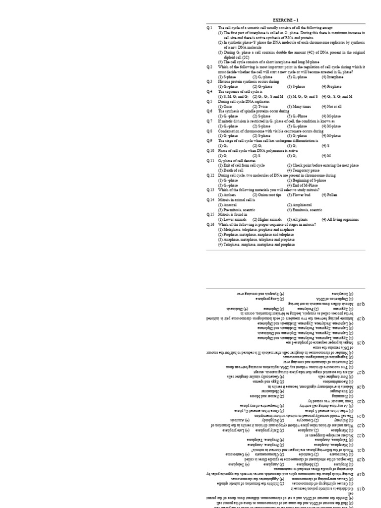 Cell Cycle and Mitosis Quiz Questions | PDF | Meiosis | Mitosis