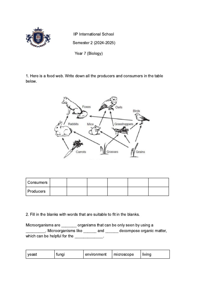 IIP International School - Google Docs | PDF