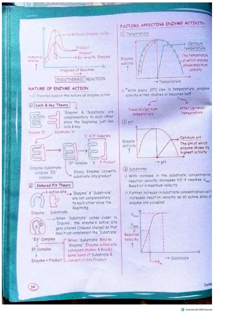 Zoology Med Easy by Samapti Mam (3) | PDF